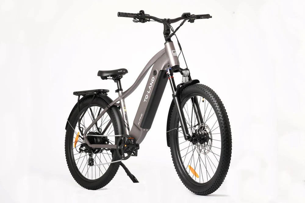 TOLAND ALPINE ELECTRIC BIKE – PedL E-Bikes & E-Scooters